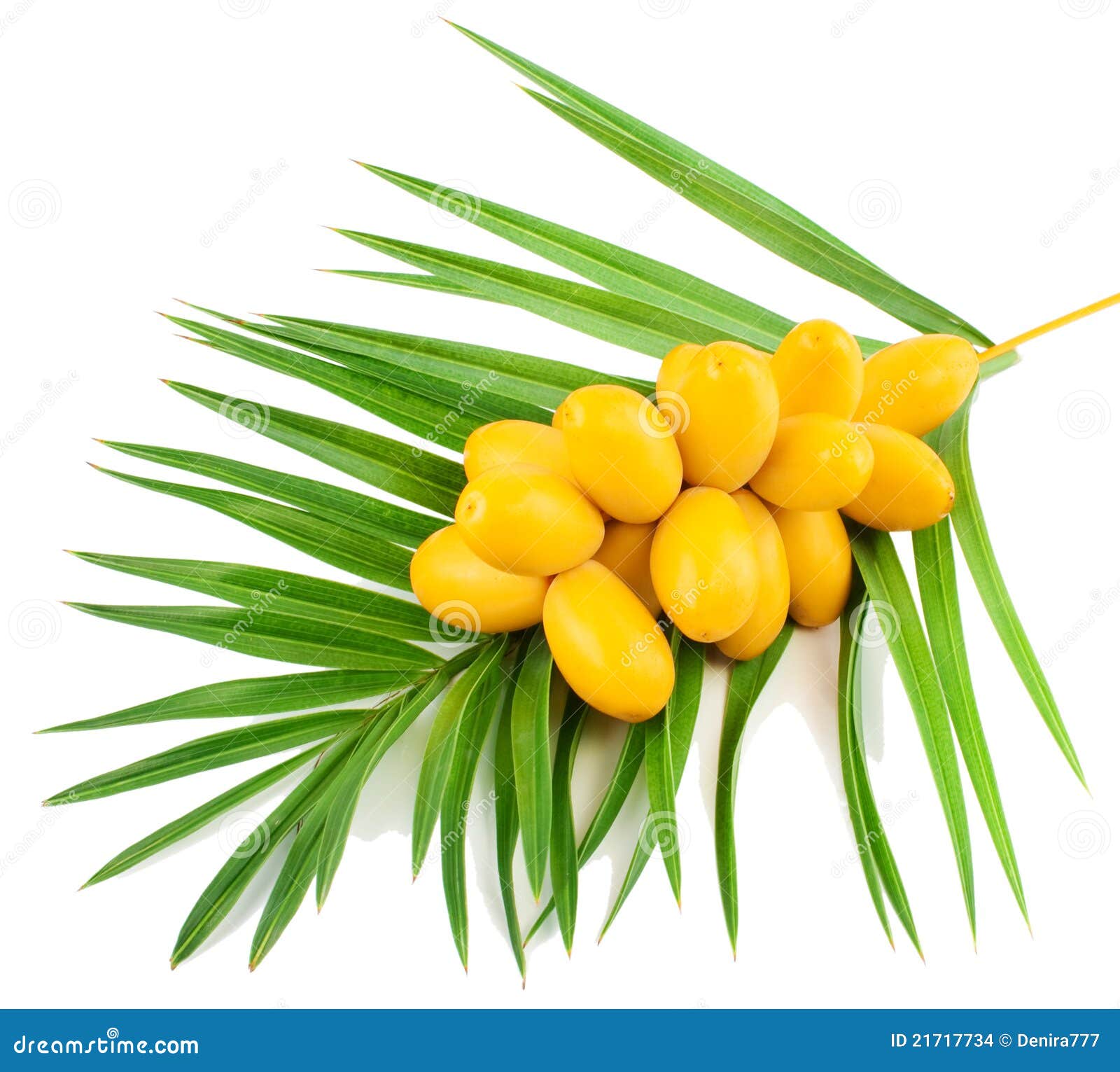 Tâmara fresca Fruites foto de stock. Imagem de deserto - 21717734