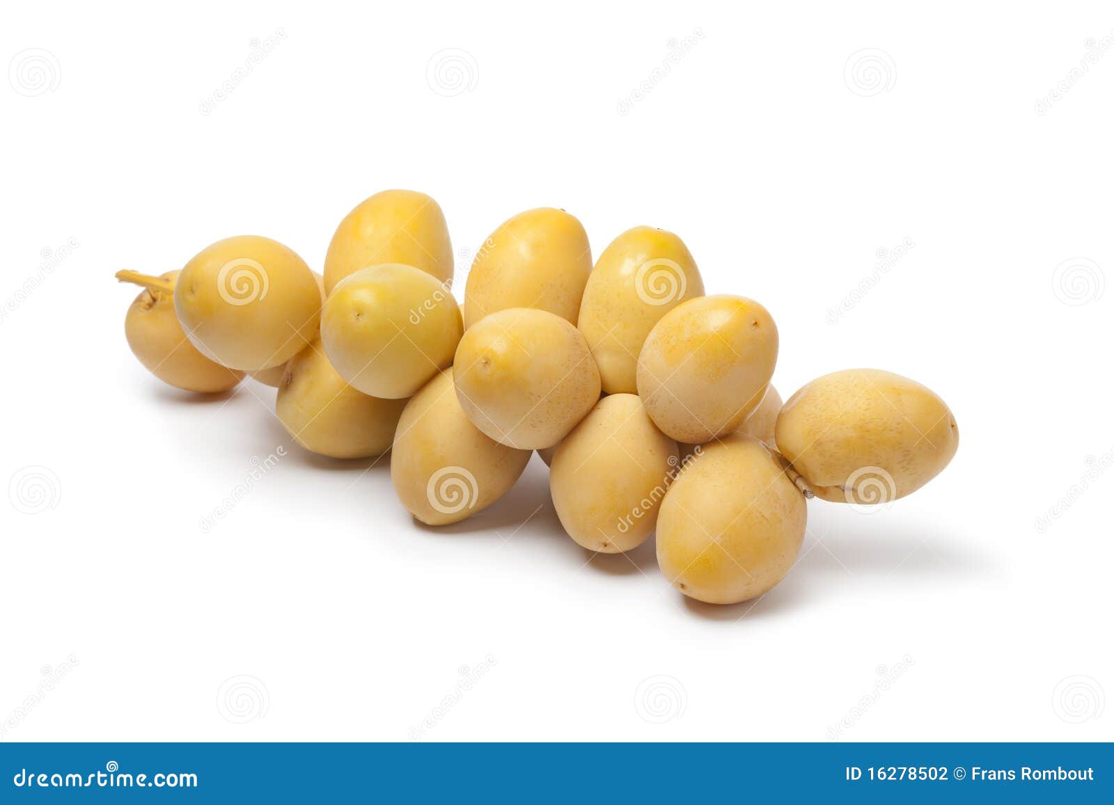 Tâmaras frescas foto de stock. Imagem de branco, fruta - 16278502