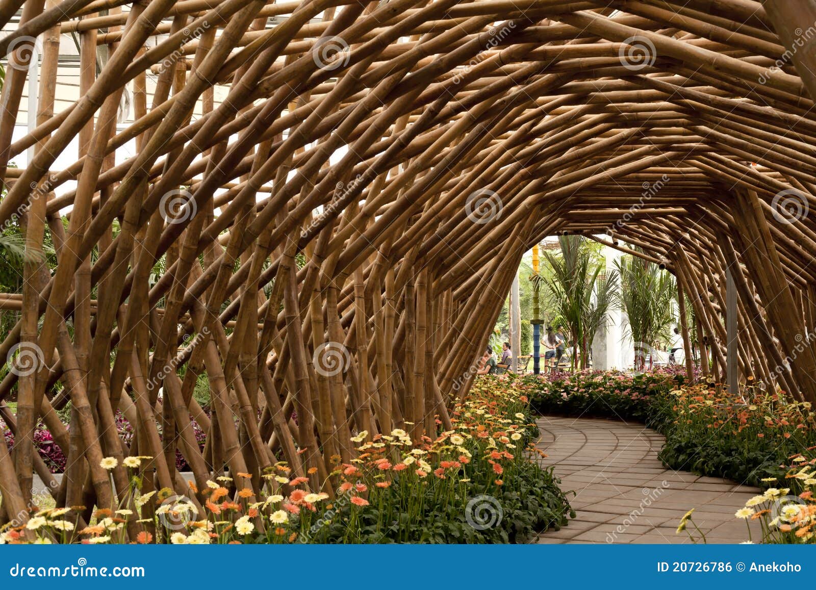 Túnel de bambu com flor foto de stock. Imagem de parque - 20726786