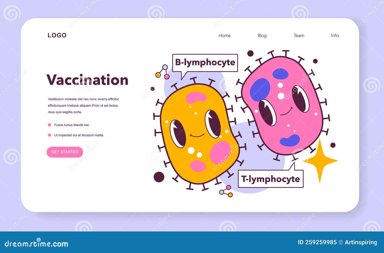 T And B Types Of Lymphocytes Human Adaptive Immune System Stock Vector