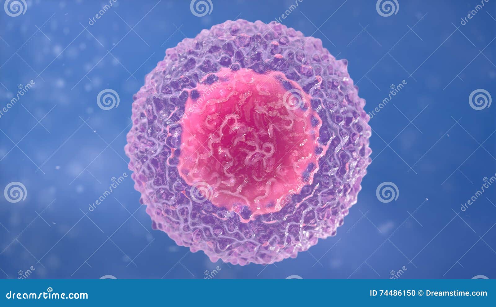 Lymphocyte Cartoons, Illustrations & Vector Stock Images - 4165 ...