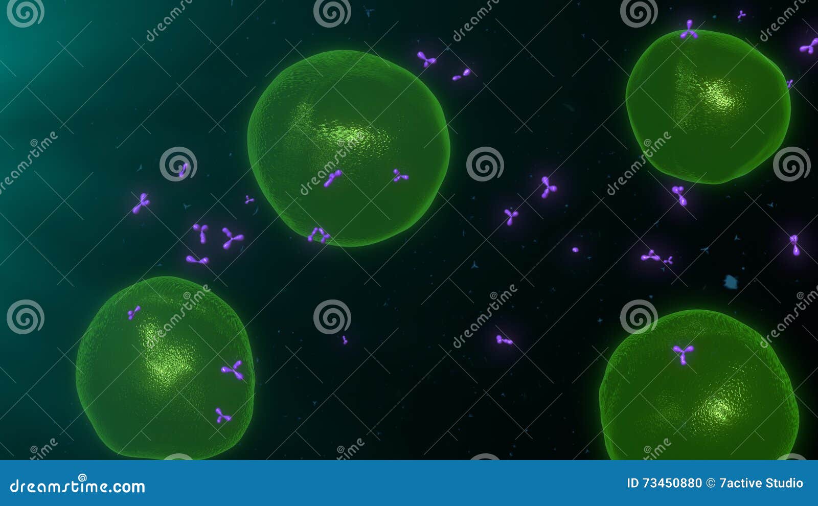T Cellen stock illustratie. Illustration of gamma, antigeen - 73450880