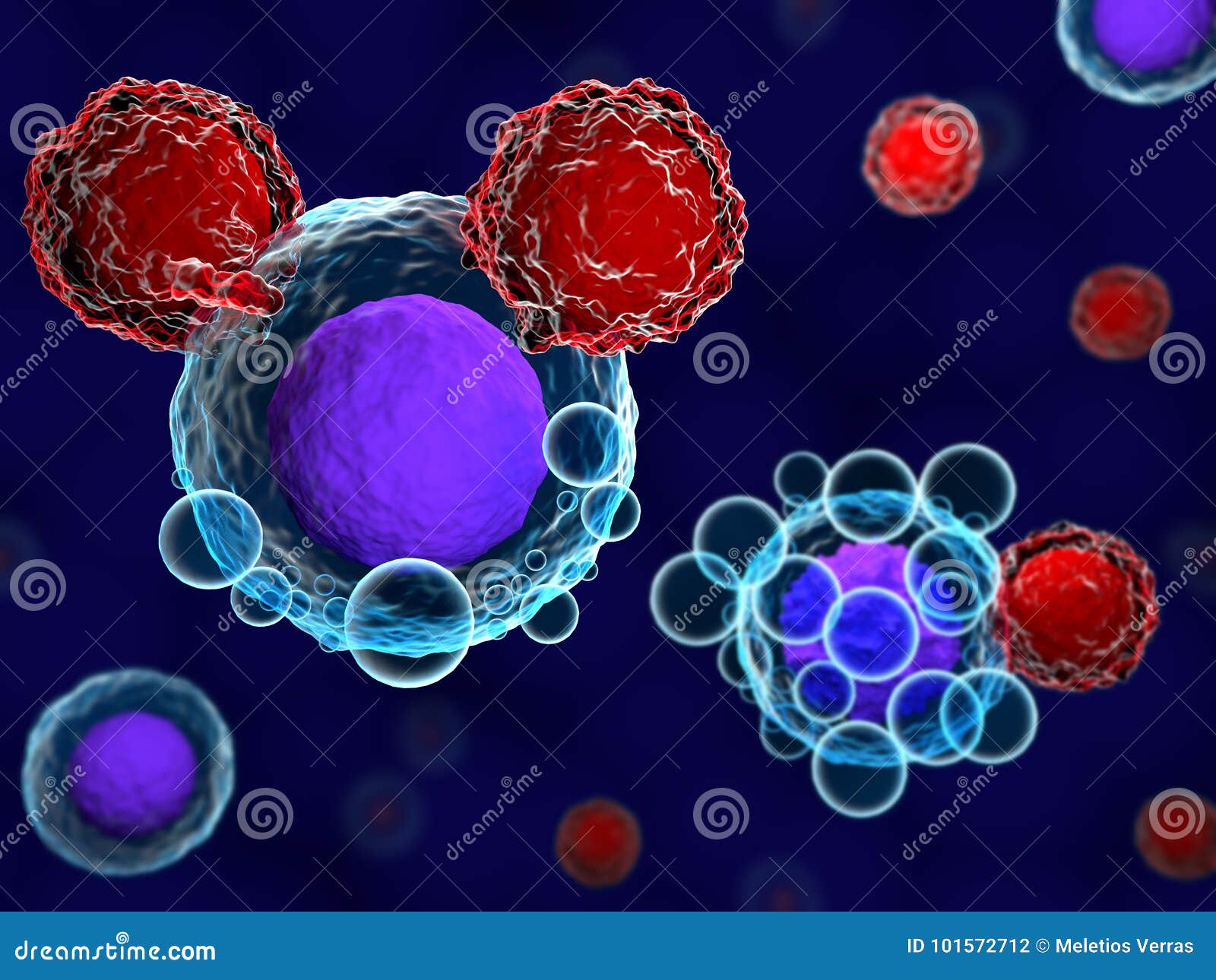 T Cells Attack Cancer Cells Stock Illustration - Illustration of cell ...