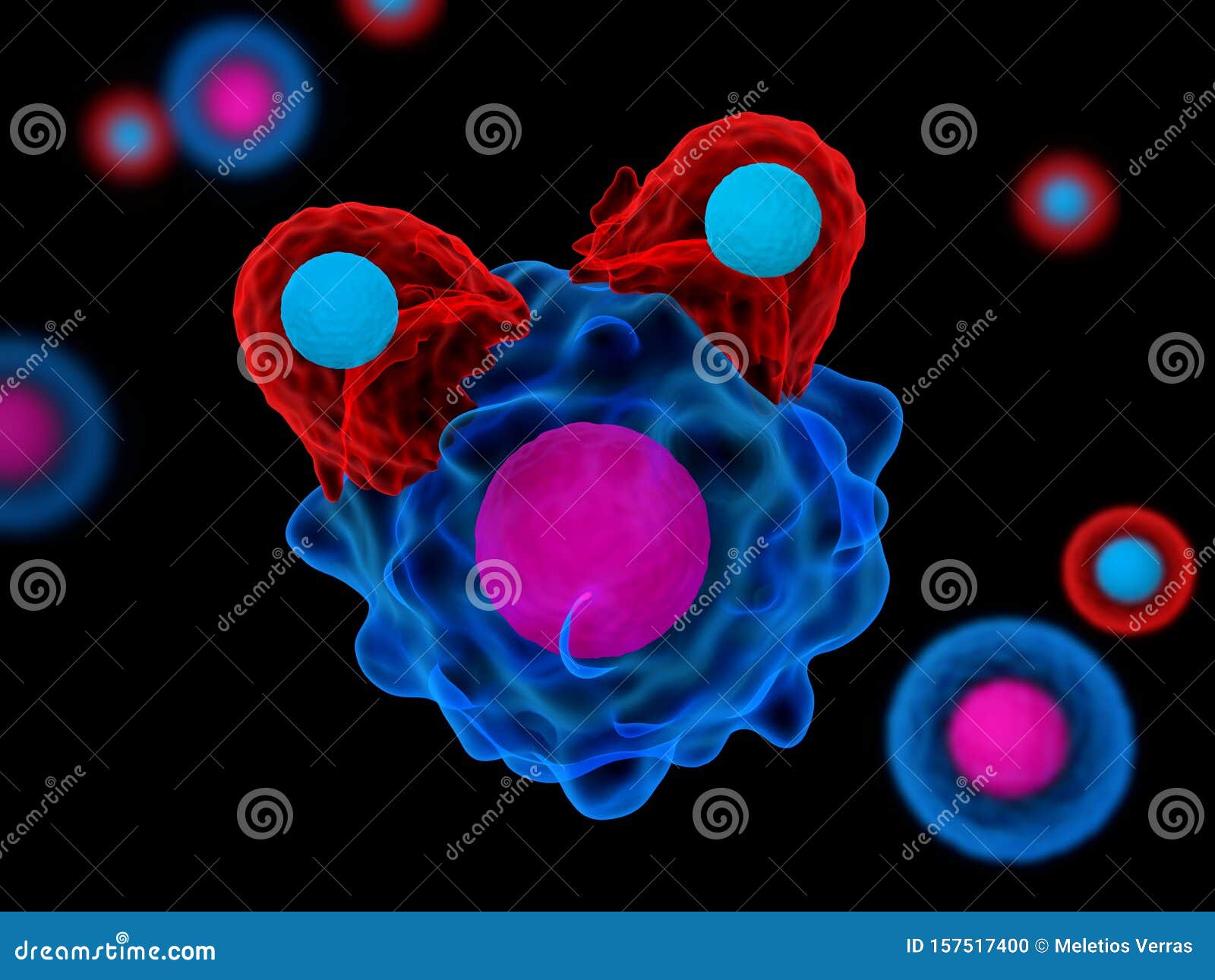 CAR T Cells Attacking Cancer Cells Royalty-Free Cartoon | CartoonDealer ...