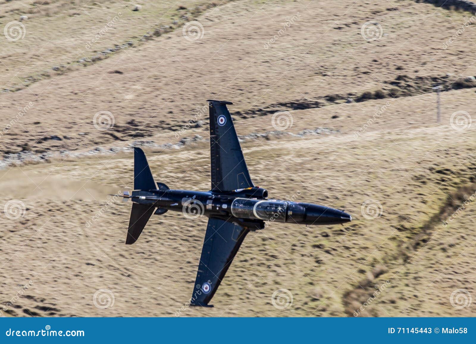 T2 Hawk editorial stock photo. Image of european, flying - 71145443