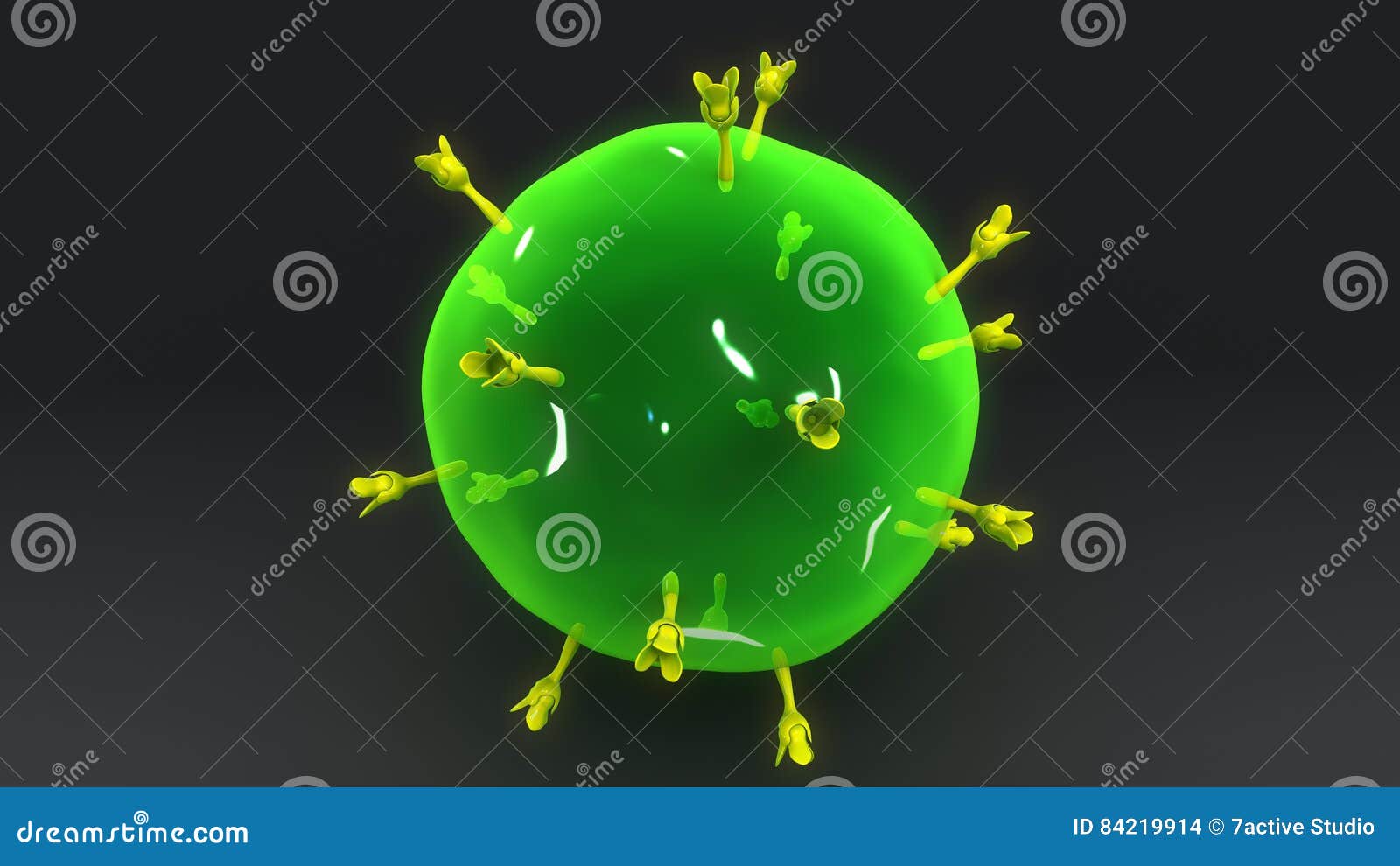 B-cell And T-cell. Adaptive Immune System Cartoon Vector ...