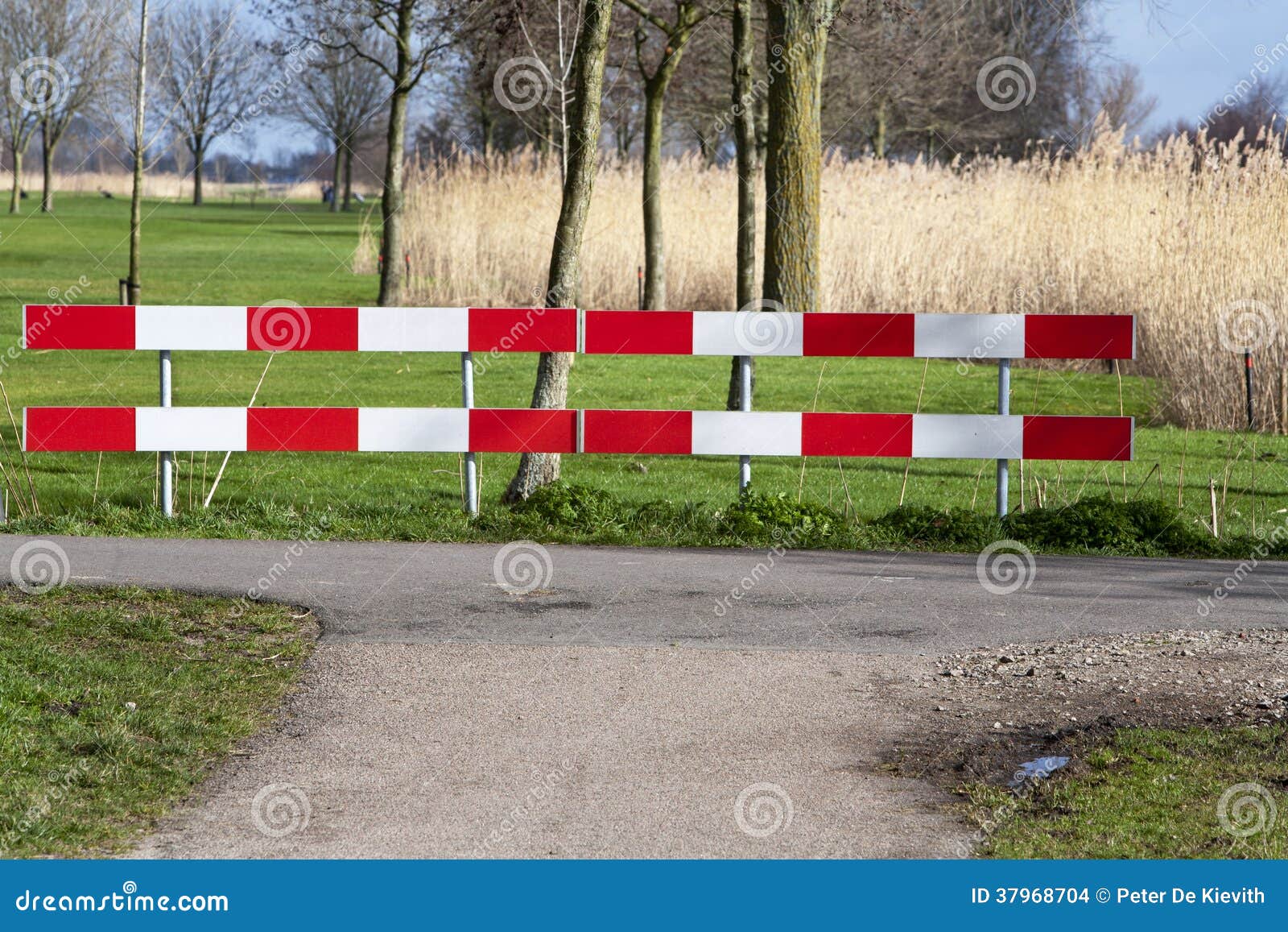 T-junction stock photo. Image of concepts, green, direction - 37968704