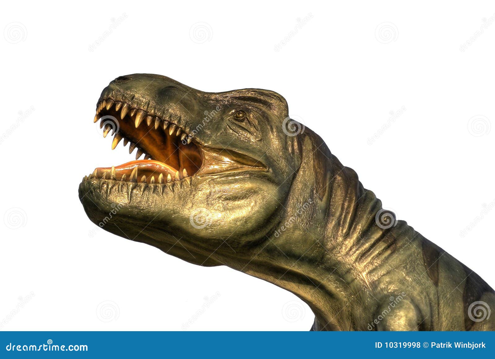 T-rex stock photo. Image of dinosaur, animal, angry, jurassic - 10319998