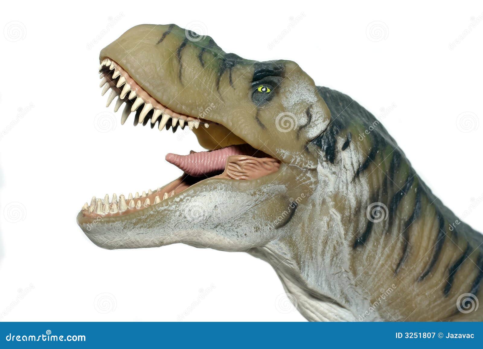 T rex stock image. Image of carnosaur, north, sharp, cartoon - 3251807
