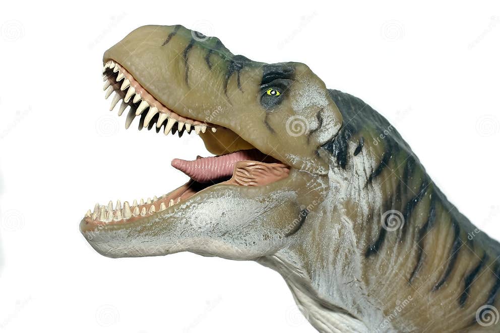 T rex stock image. Image of carnosaur, north, sharp, cartoon - 3251807