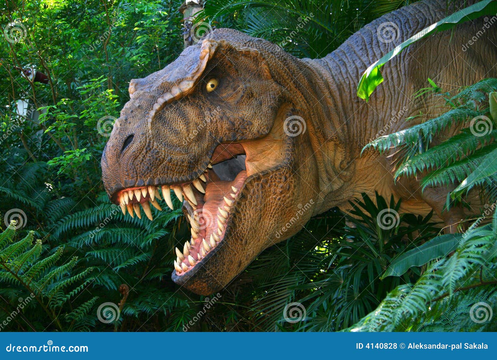 Tyrannosaurus T-rex , Dinosaur Feet Walking Of Tyrannosaurus T-rex On ...