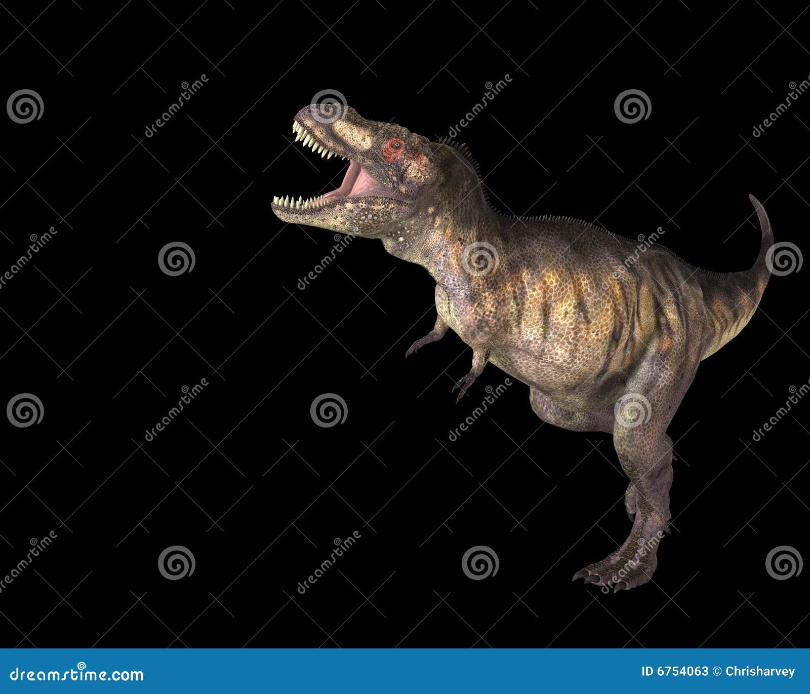 T Rex stock image. Image of meateater, roaring, lizard - 6754063
