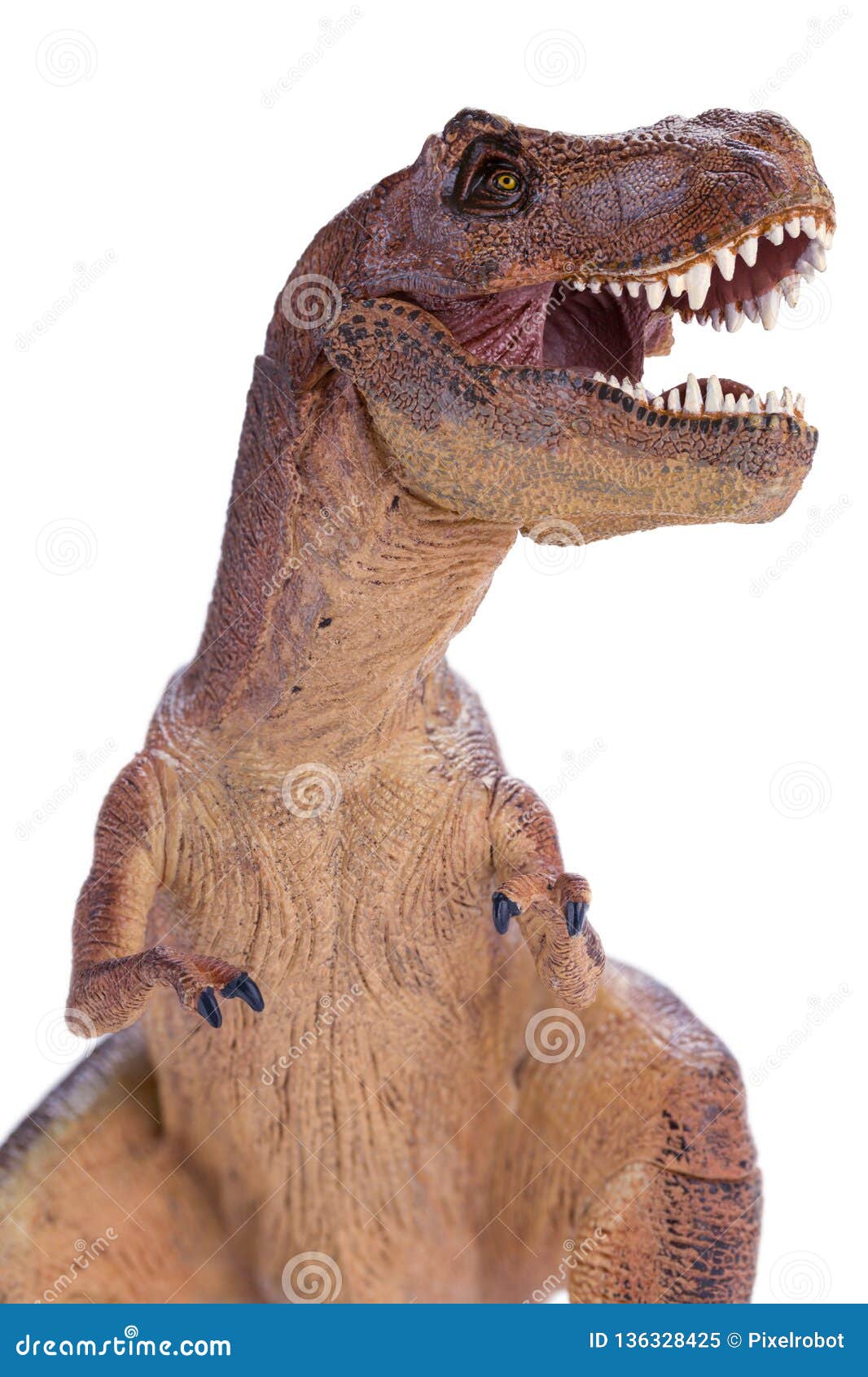 T Rex Close Up Side View immagine stock. Immagine di tagliente - 136328425