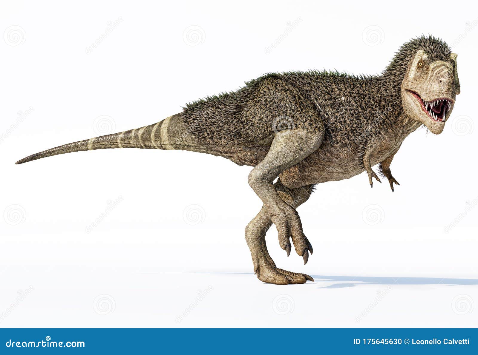 T-rex With Feathers 3d Rendering Side View Stock Image | CartoonDealer ...