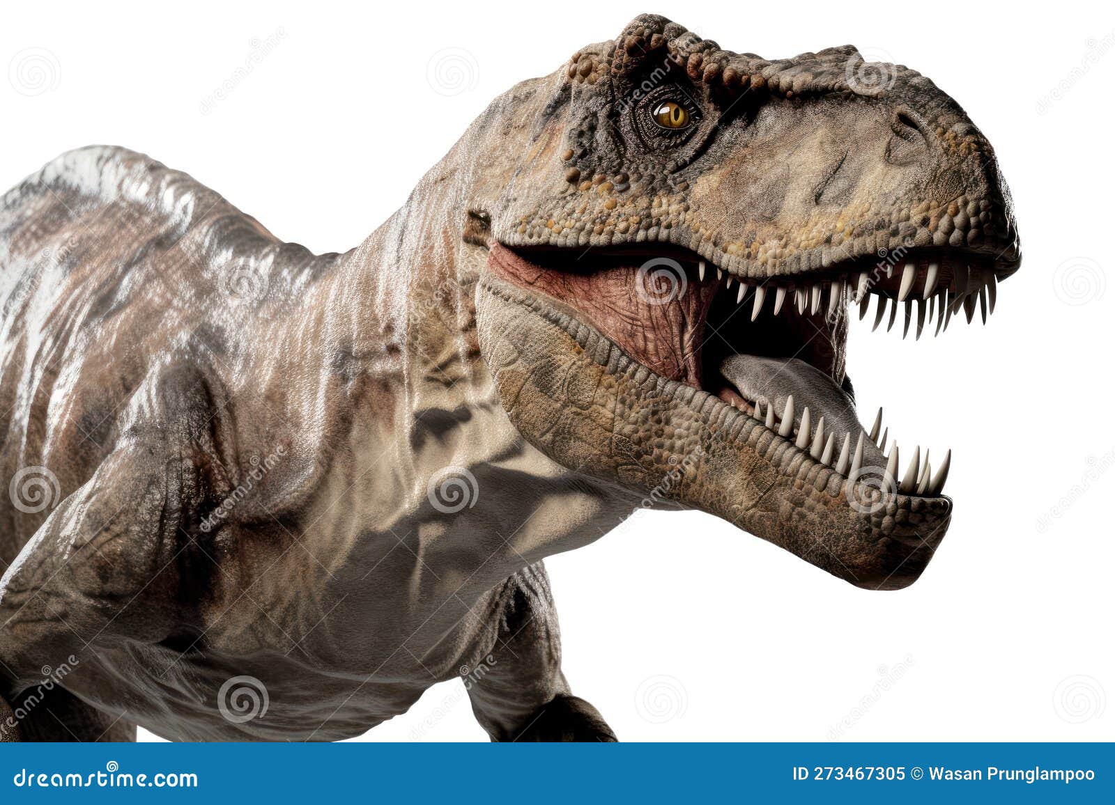 T-Rex Dinosaur Isolated on Transparent Background. Ai Generated Stock ...
