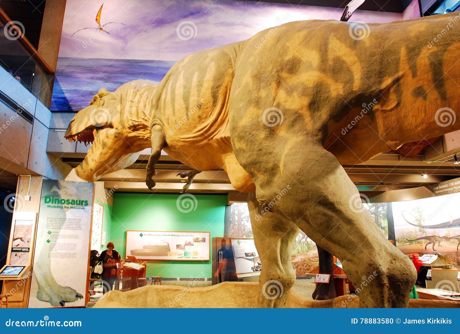 T Rex display editorial image. Image of dino, eastern - 78883580