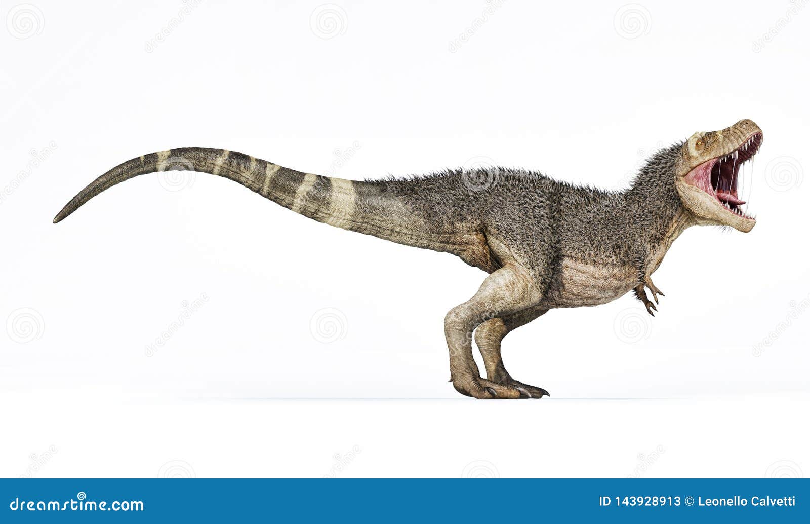 T-rex with Feathers 3d Rendering Side View Stock Illustration ...