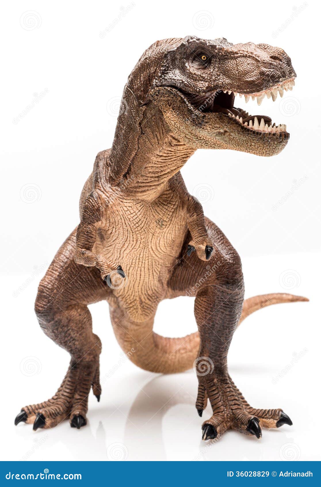 T Rex stock image. Image of extinct, aggression, reptile - 36028829