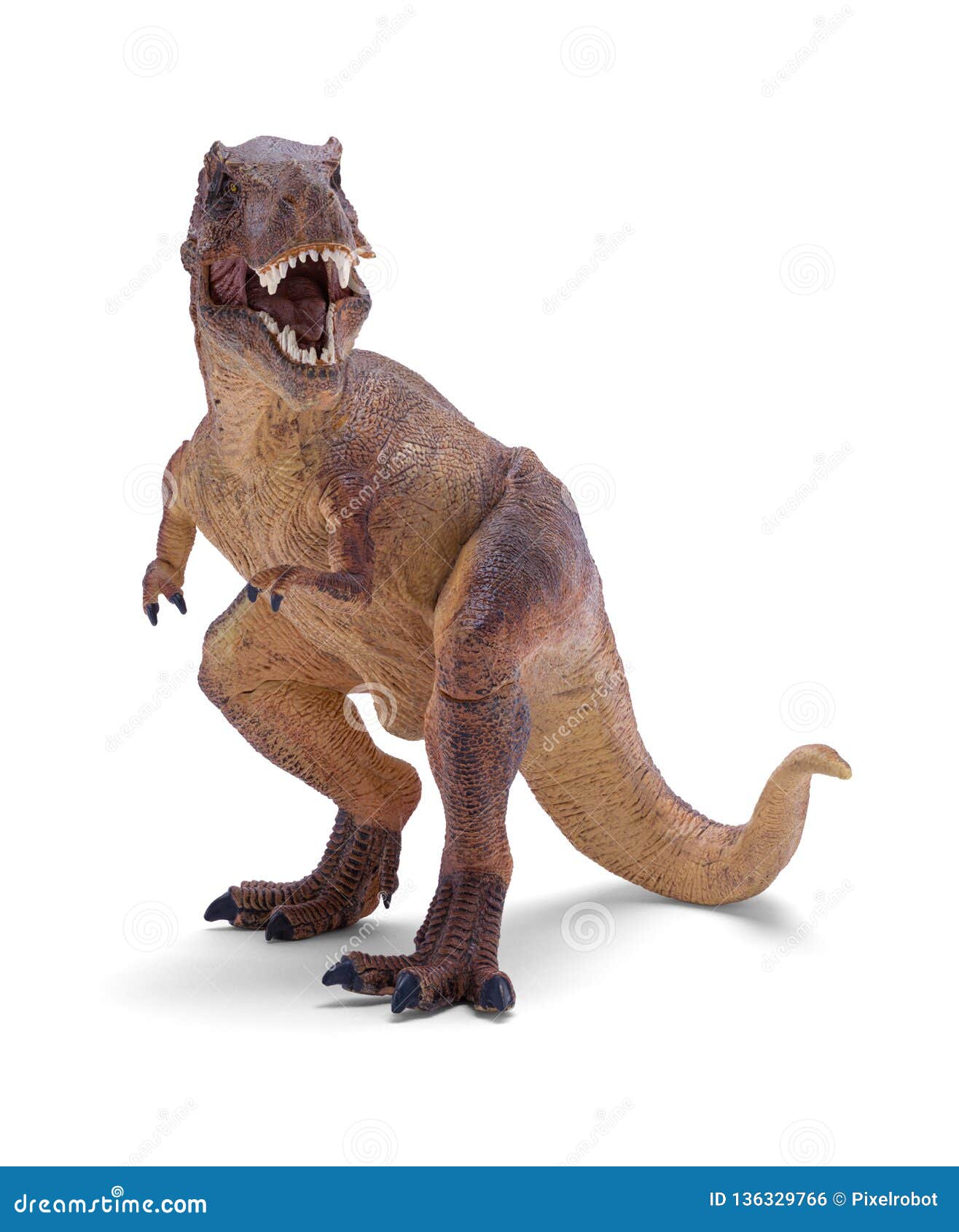 T Rex Front stock illustration. Illustration of extinct - 136329766