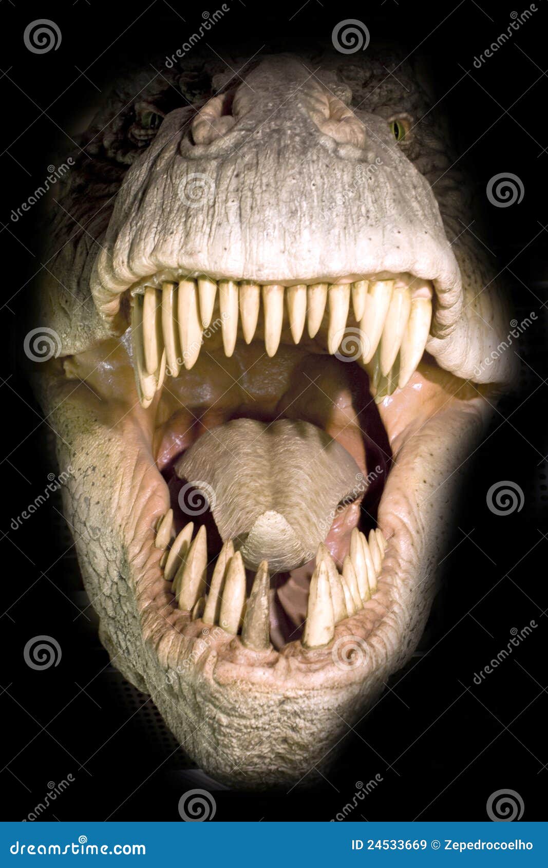 T-rex head stock image. Image of prehistoric, ferocious - 24533669
