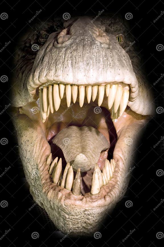 T-rex head stock image. Image of prehistoric, ferocious - 24533669