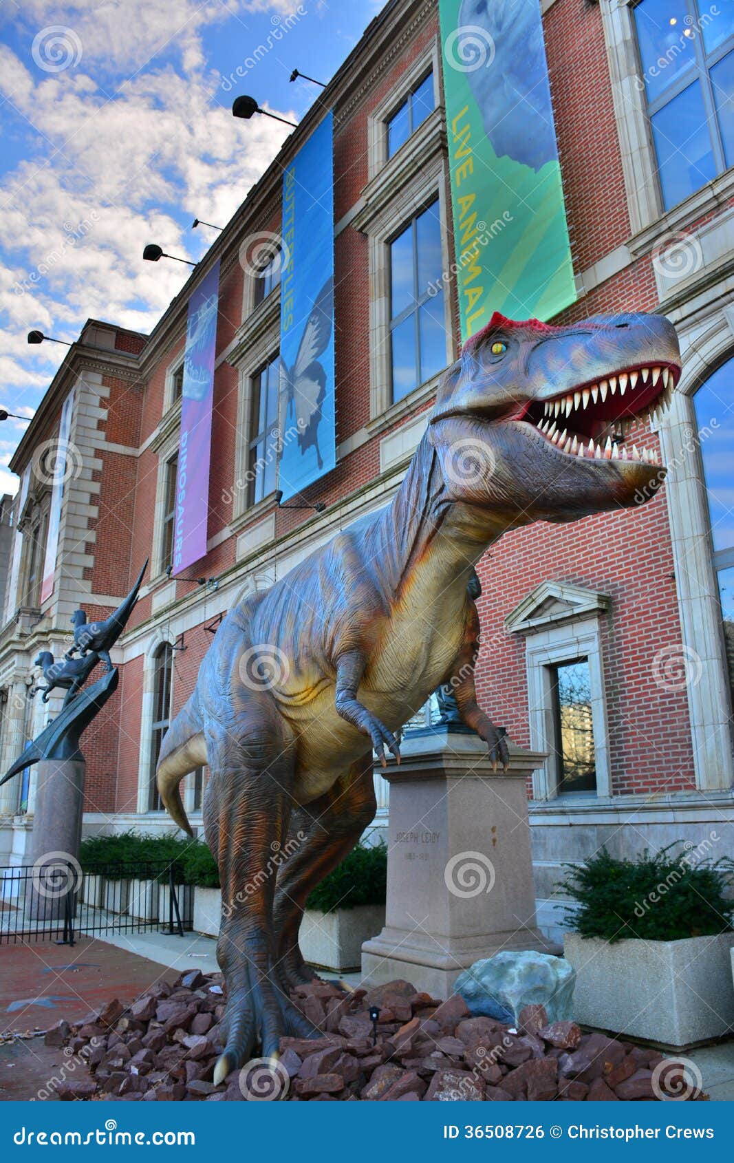 T Rex Running Stock Photos - Free & Royalty-Free Stock Photos from ...