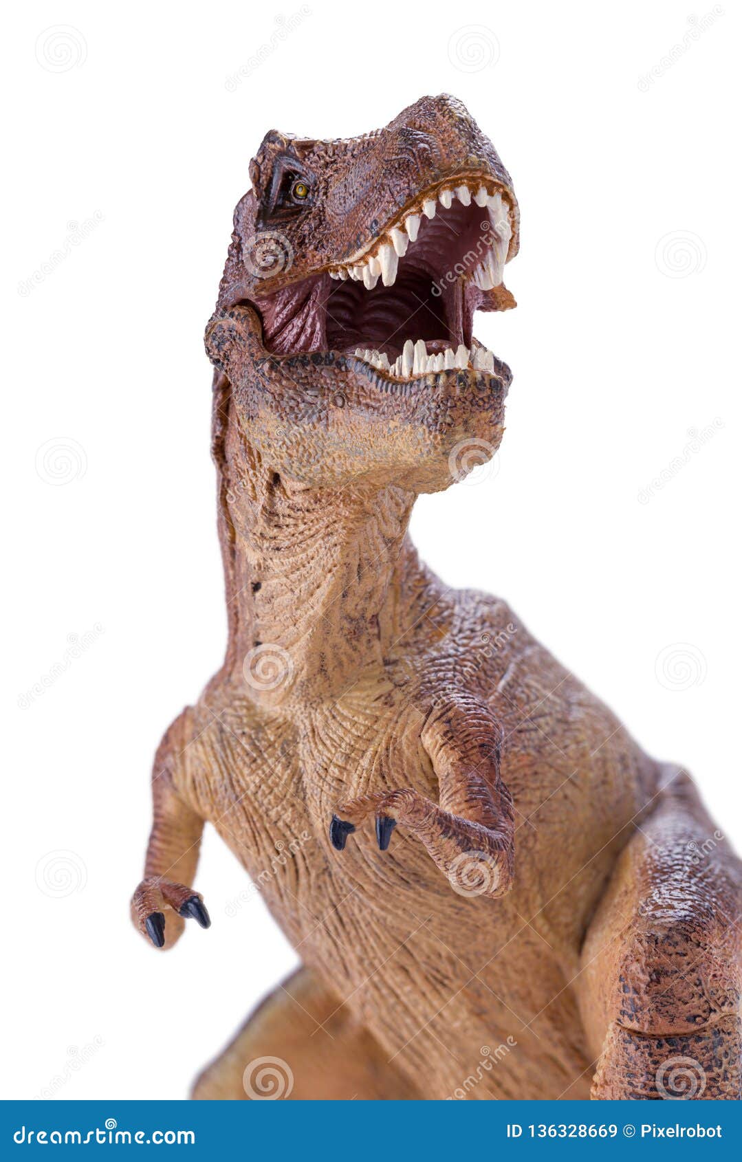 T Rex Roar stock image. Image of dinosaur, plastic, reptile - 136328669
