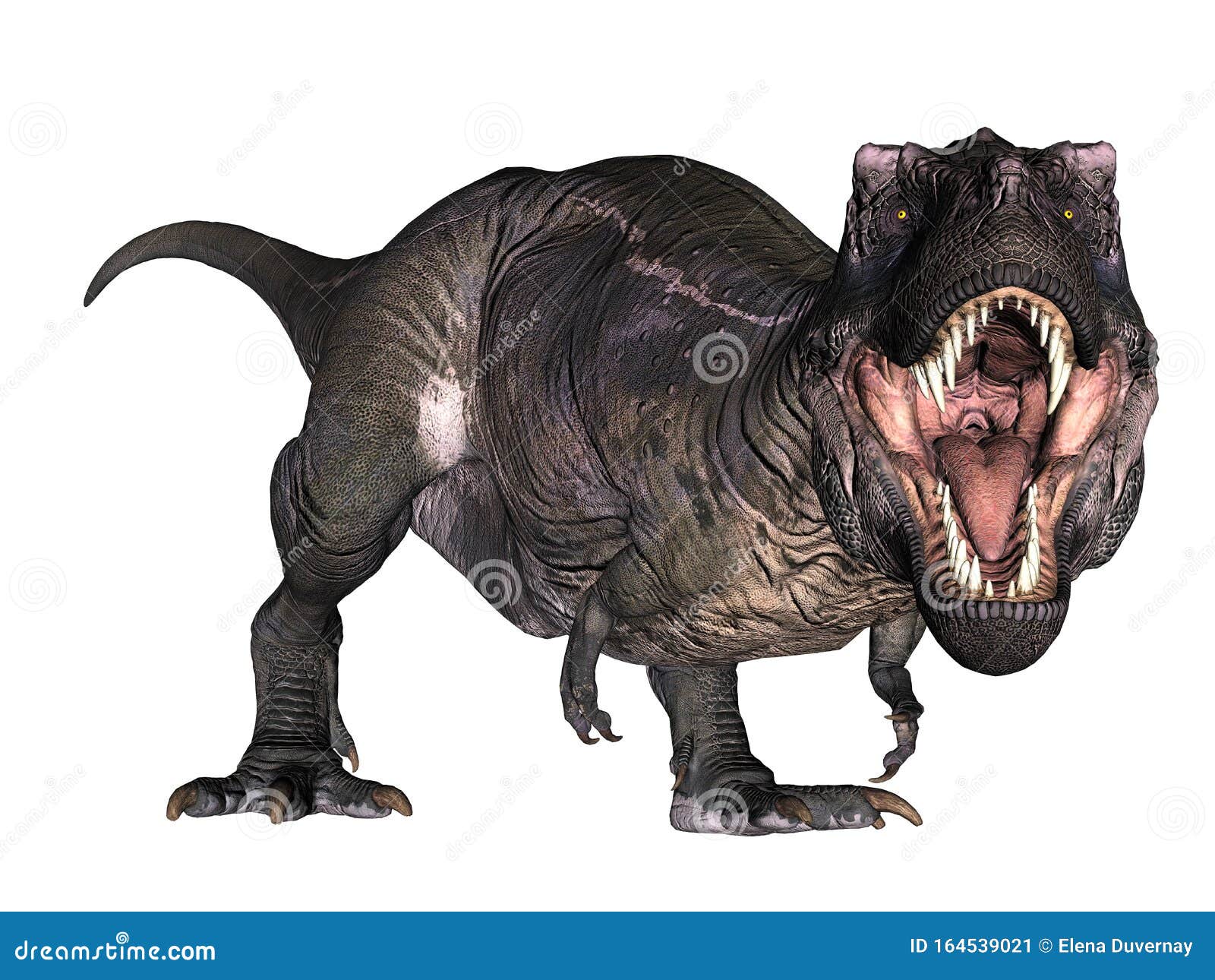 T-Rex Roaring Down on Its Feet - 3D Render Stock Illustration ...