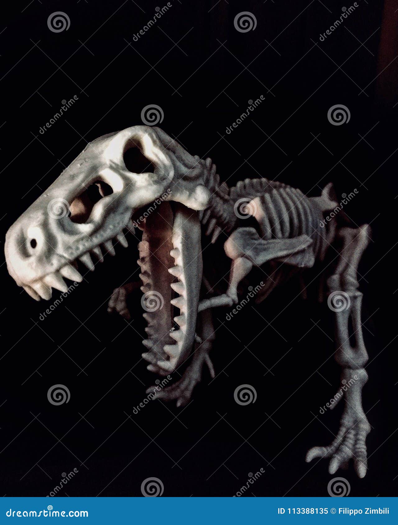 It seems real stock image. Image of real, trex, closeup - 113388135