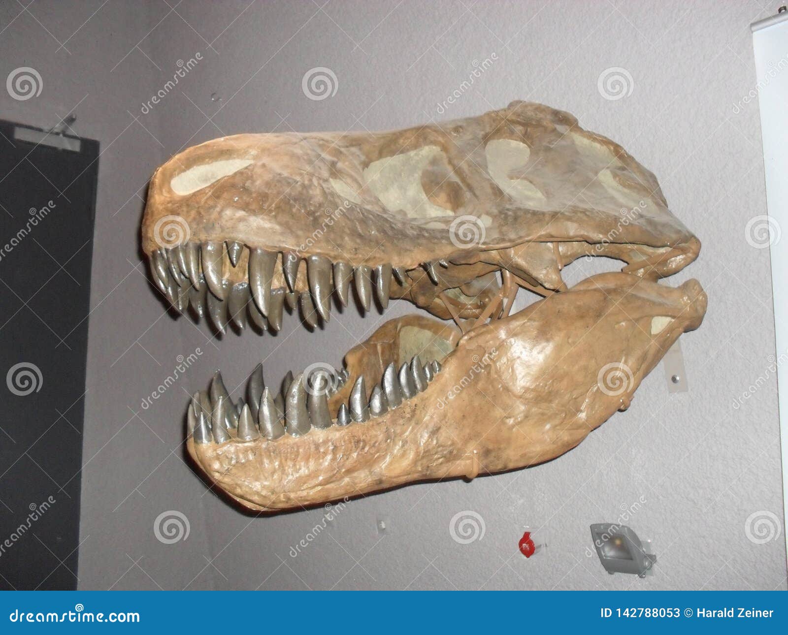T-Rex editorial stock photo. Image of teeth, jurassic - 142788053