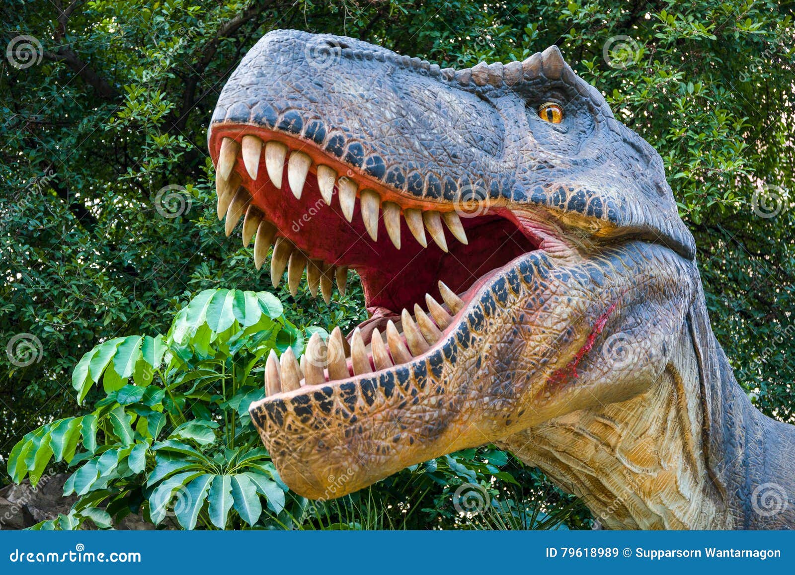 T-Rex or Tyrannosaurus Dinosaur Stock Image - Image of extinct ...