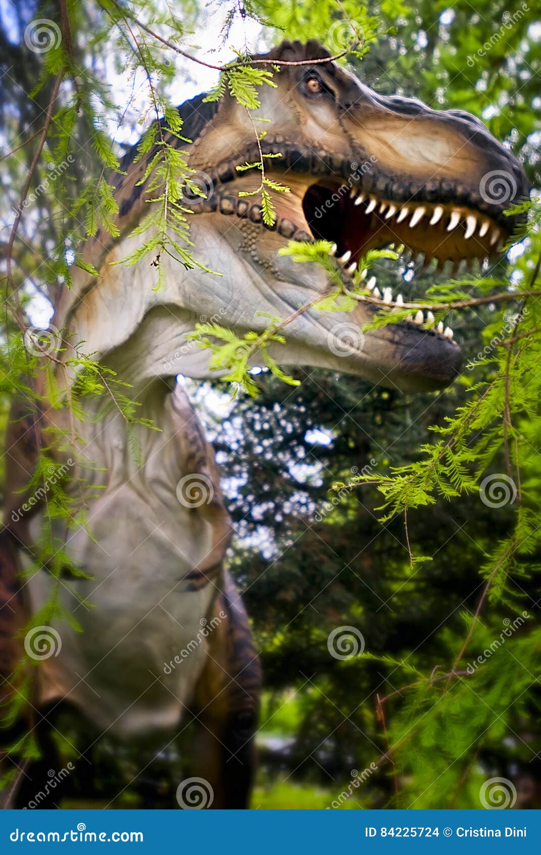 Tyrannosaurus Rex, Carnivorous Dinosaur From The Cretaceous Period ...