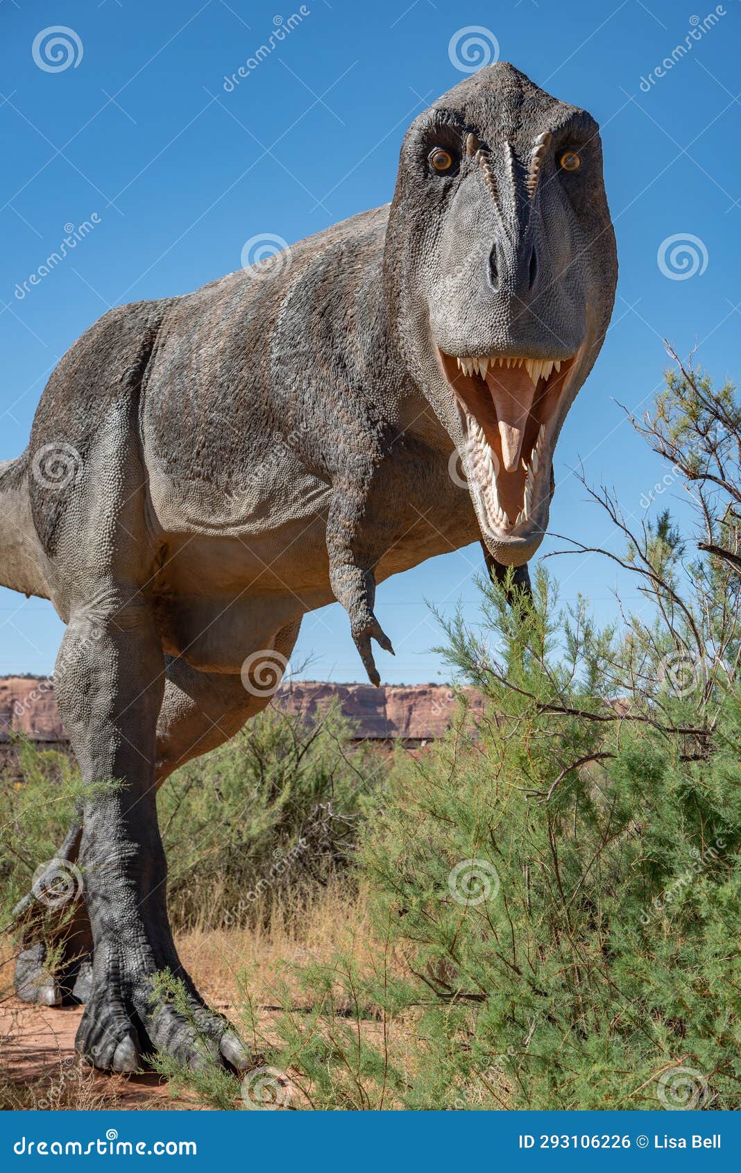 T-Rex Chasing stock photo. Image of desert, prey, dinosaur - 293106226