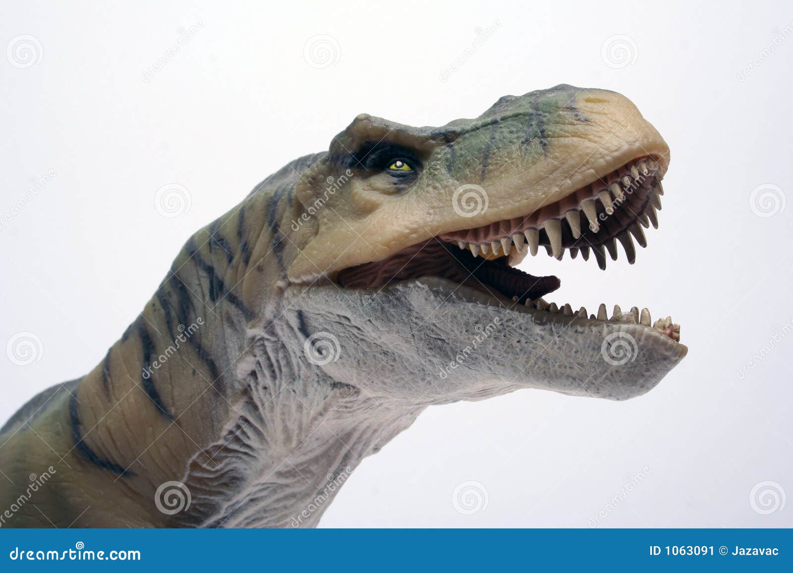 T-rex3 stock image. Image of carnivorous, fangs, predator - 1063091