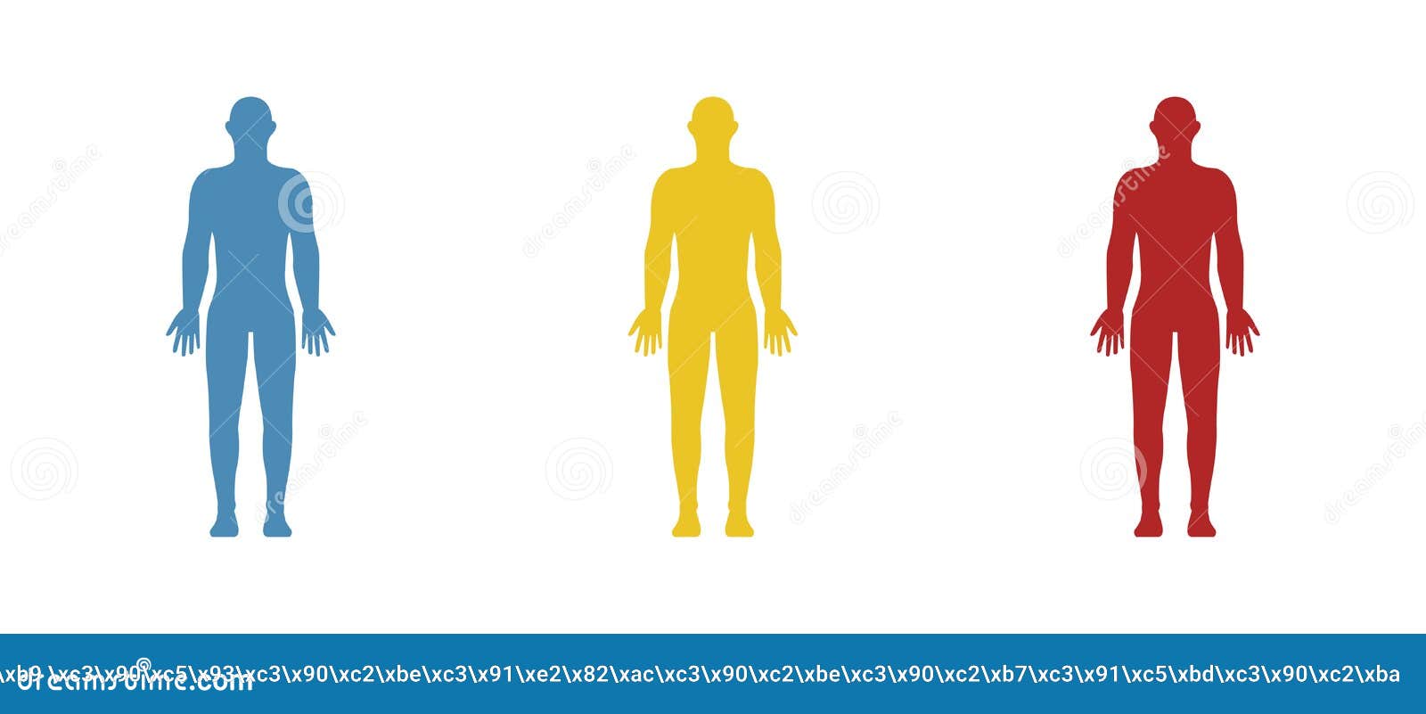 Human Icon on a White Background, Vector Illustration Stock Vector ...