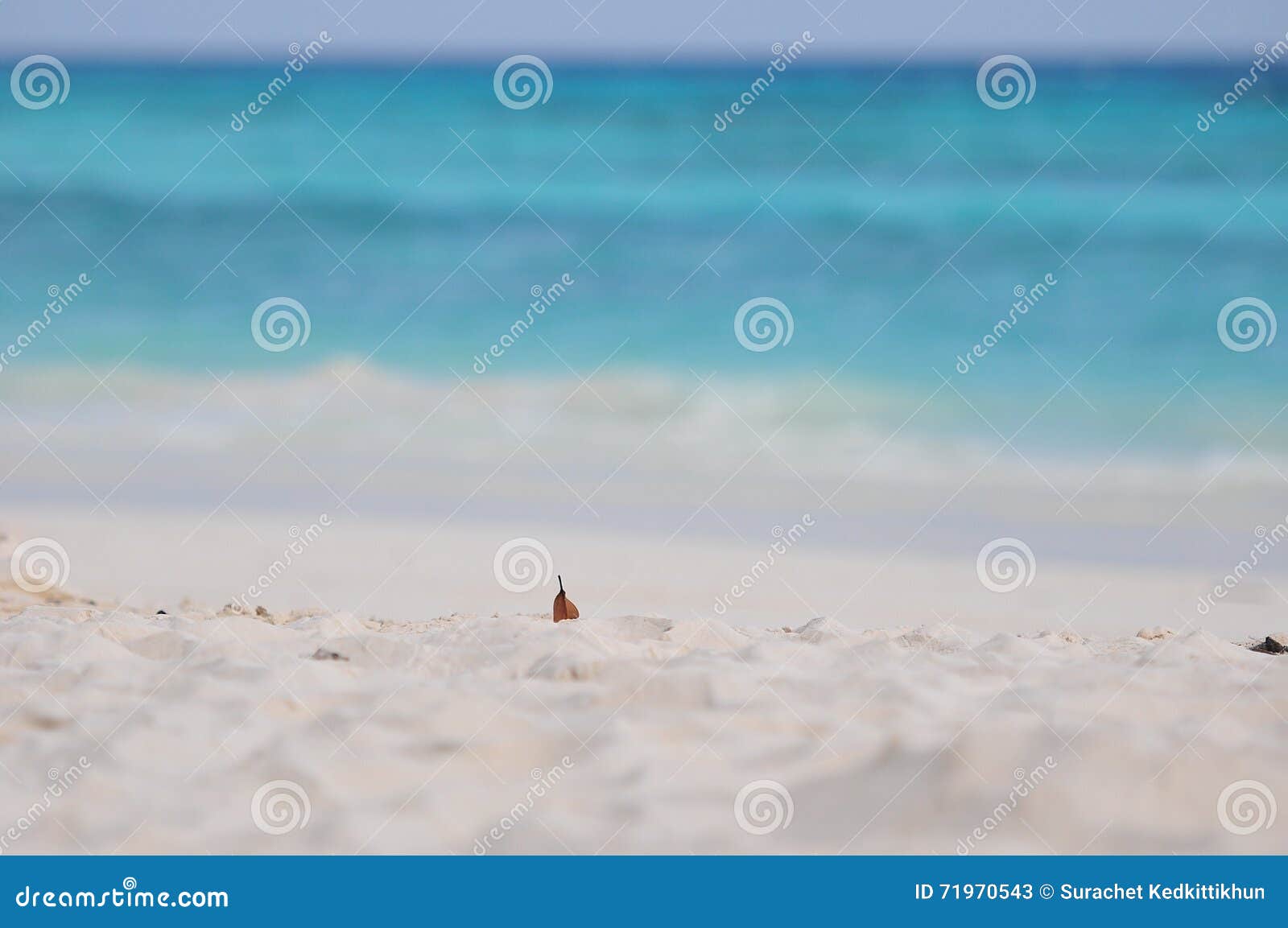 Ta-chai Island Beautiful Beach Stock Image - Image of travel, island ...