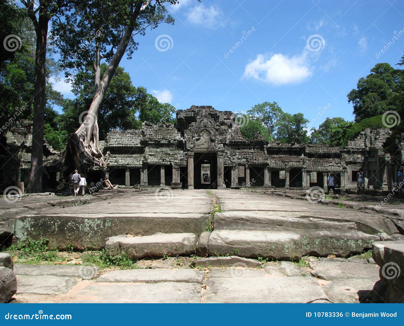 Ta Prohm stock photo. Image of history, ruins, thom, building - 10783336