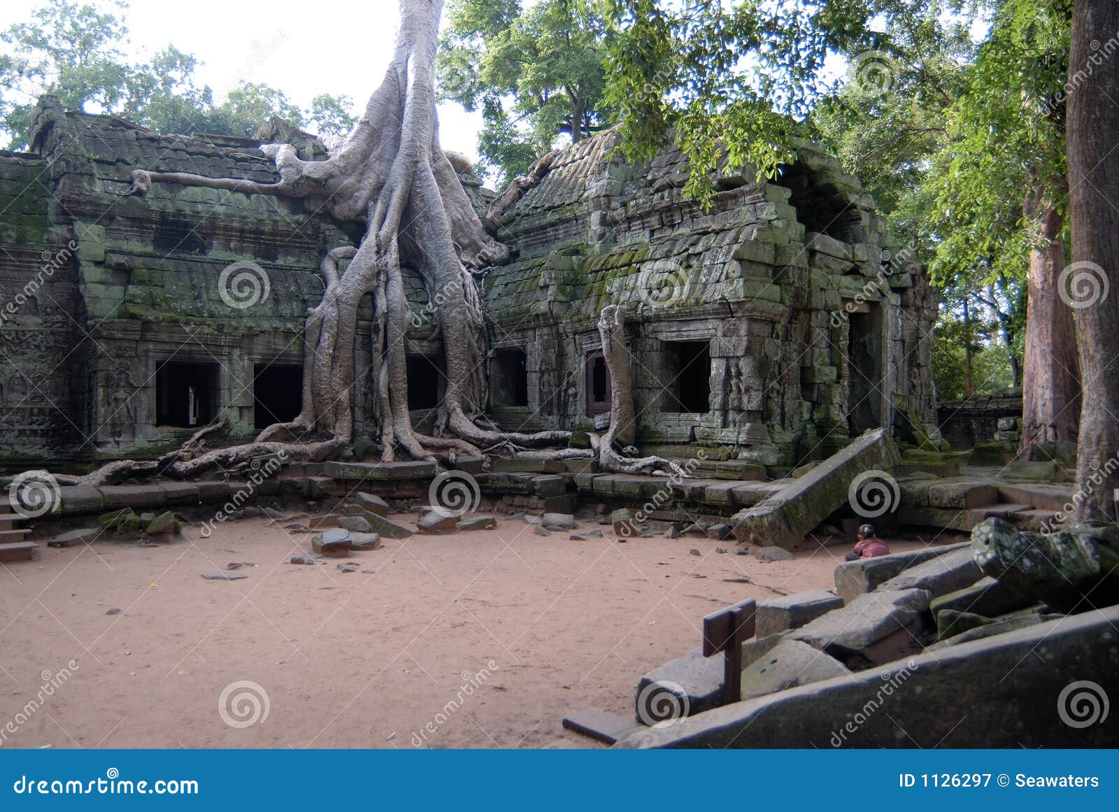 TA Prohm imagen de archivo. Imagen de templo, khmer, qué - 1126297