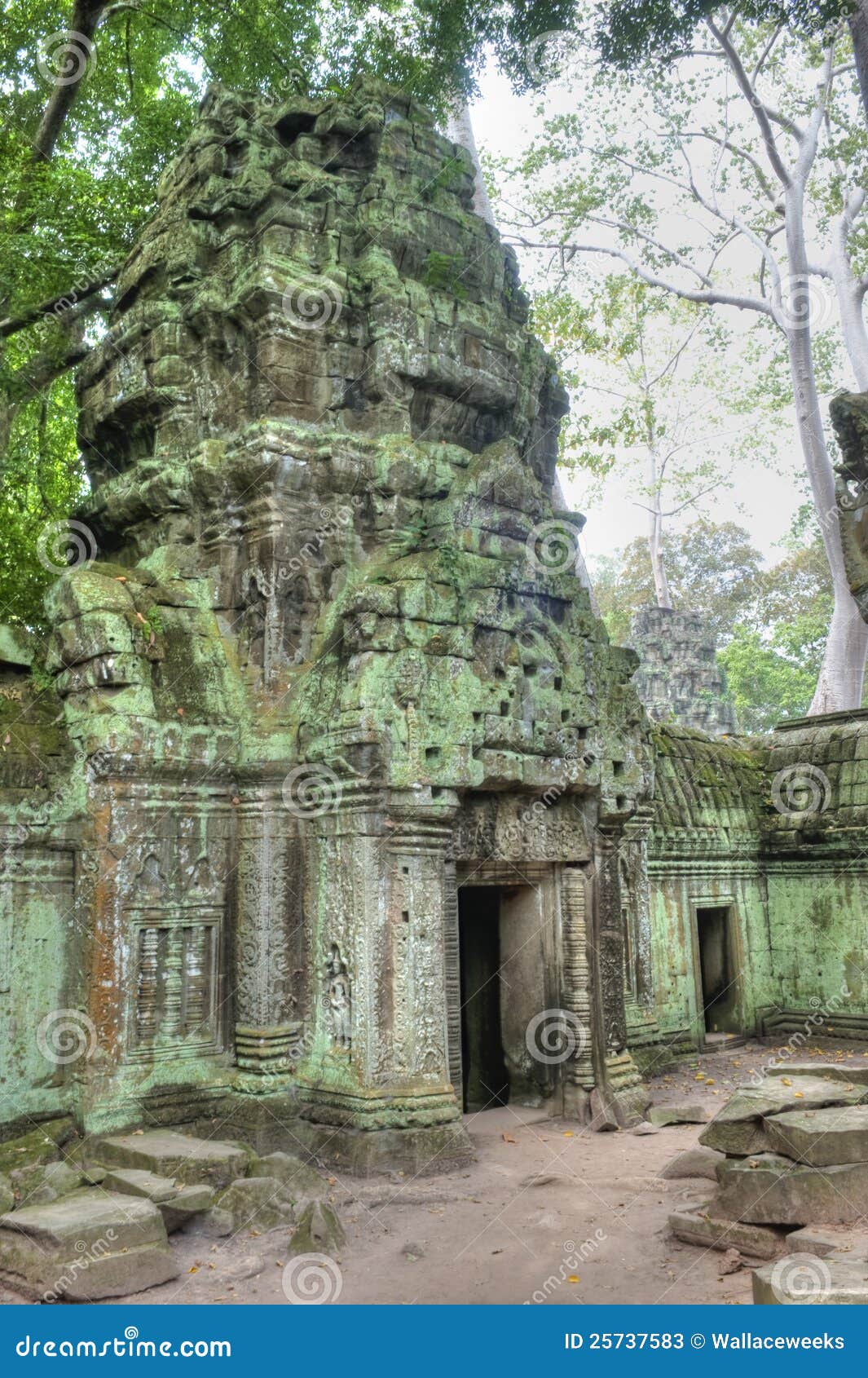 Ta Prohm stock afbeelding. Image of toerisme, godsdienst - 25737583