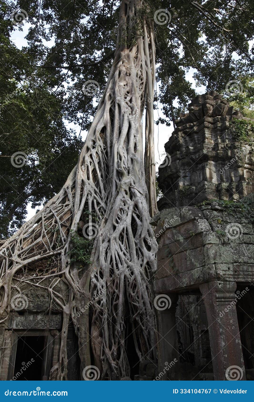 Ta Prohm Temple Ruins at Angkor, Cambodia. Stock Image - Image of asia ...