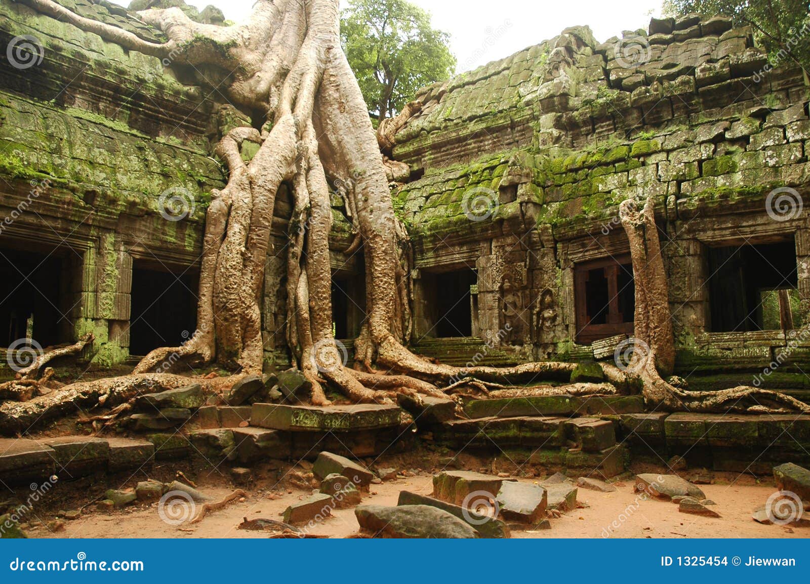 Ta Prohm, Angkor Wat stock photo. Image of prom, angkor - 1325454
