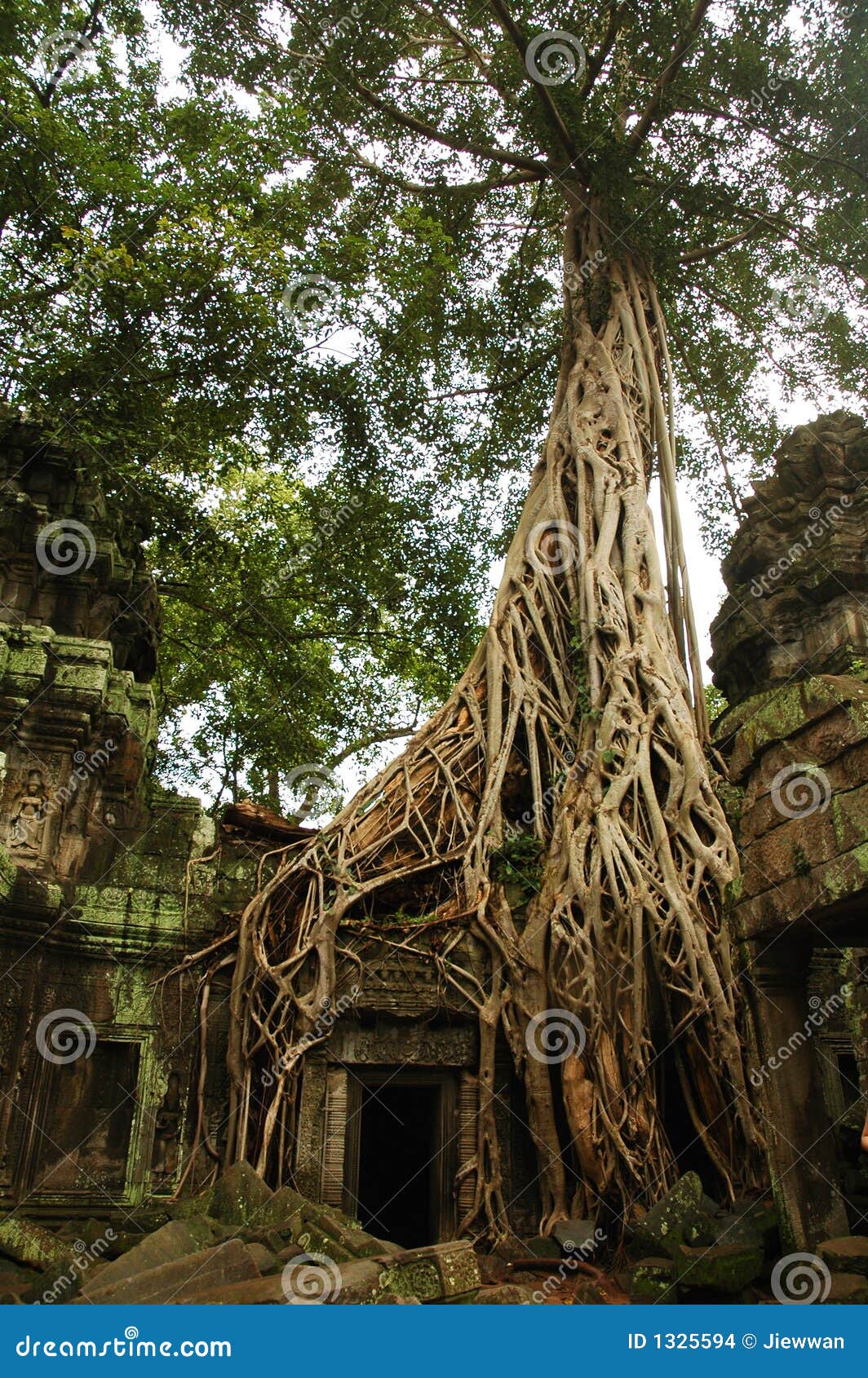 Ta Prohm, Angkor Wat stock photo. Image of angkor, reap - 1325594