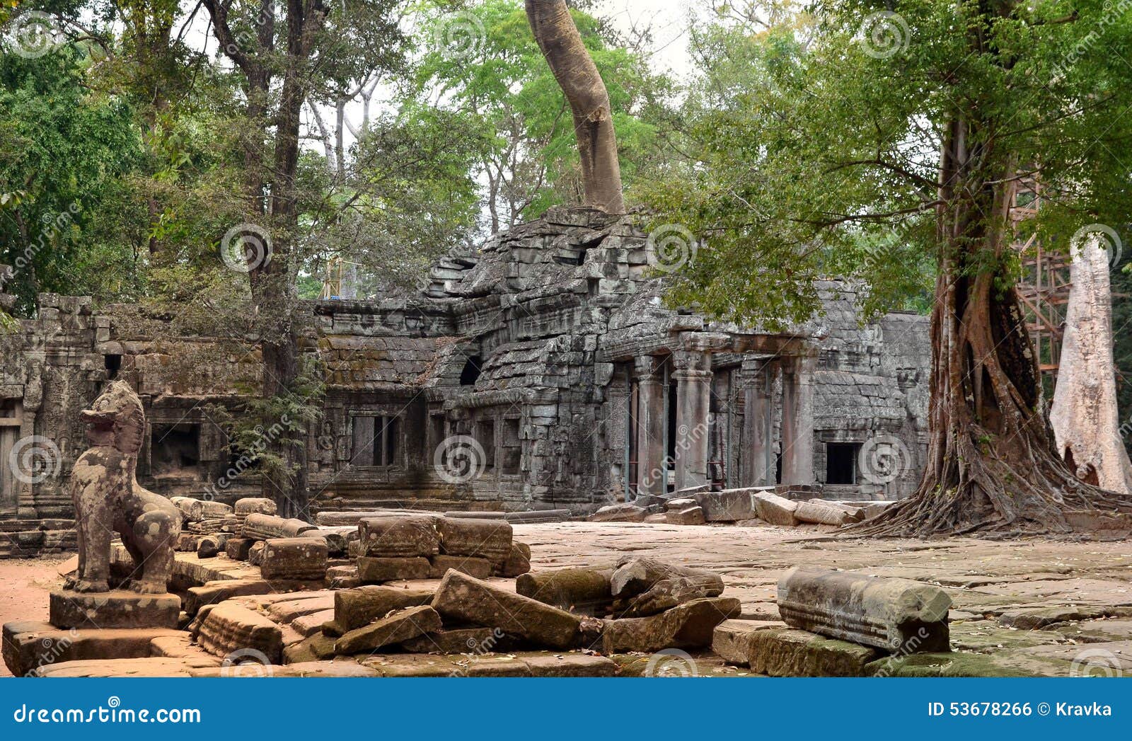Ta Prohm Angkor Wat Cambodia Stock Photo - Image of historical, bayon ...