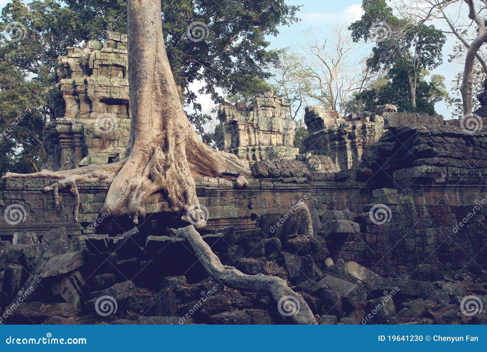 Ta Prohm in Cambodia stock photo. Image of khmer, enlightement - 19641230