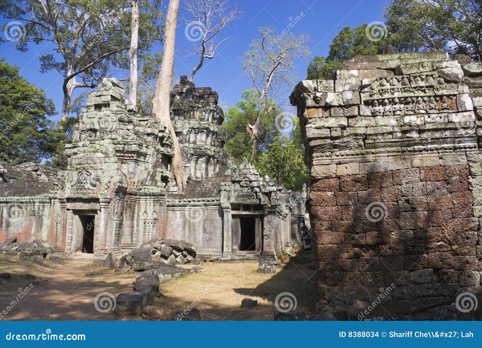Ta Prohm, Cambodia stock photo. Image of jungle, kingdom - 8388034