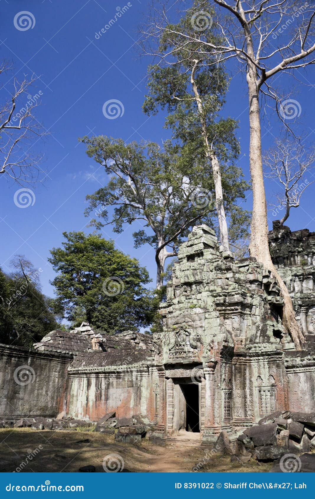Ta Prohm, Cambodia stock photo. Image of buildings, croft - 8391022
