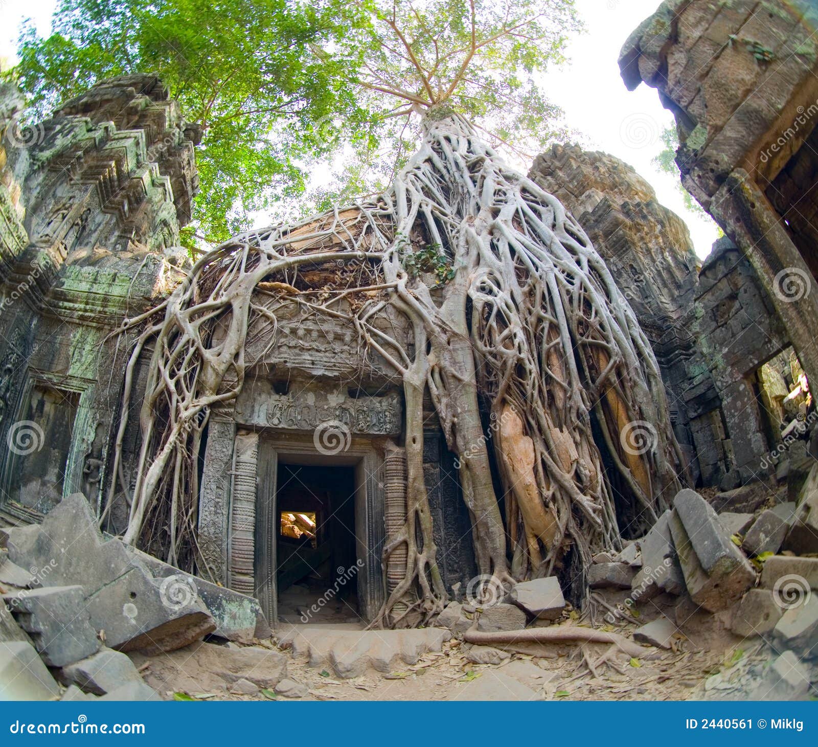 Ta Prohm doorway stock image. Image of monument, east - 2440561