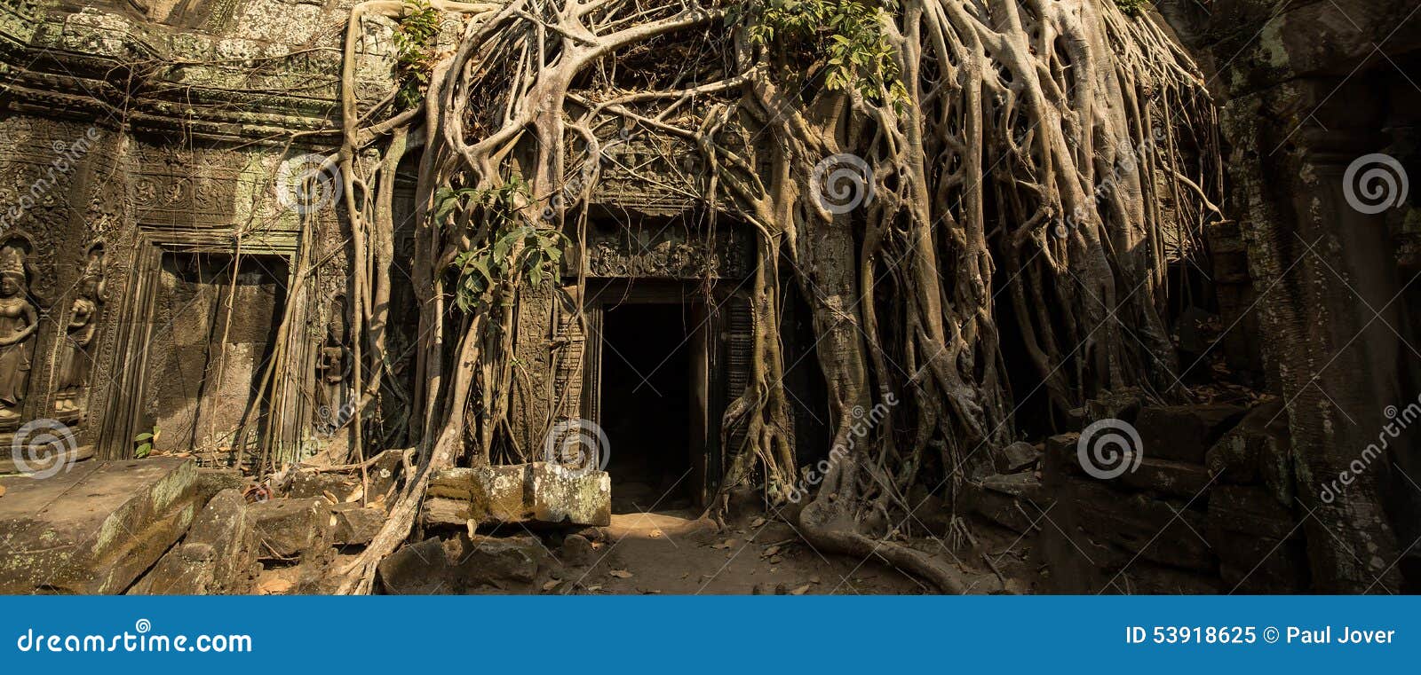 Ta Prohm Roots Gate Panoramic Stock Image - Image of building, panorama ...