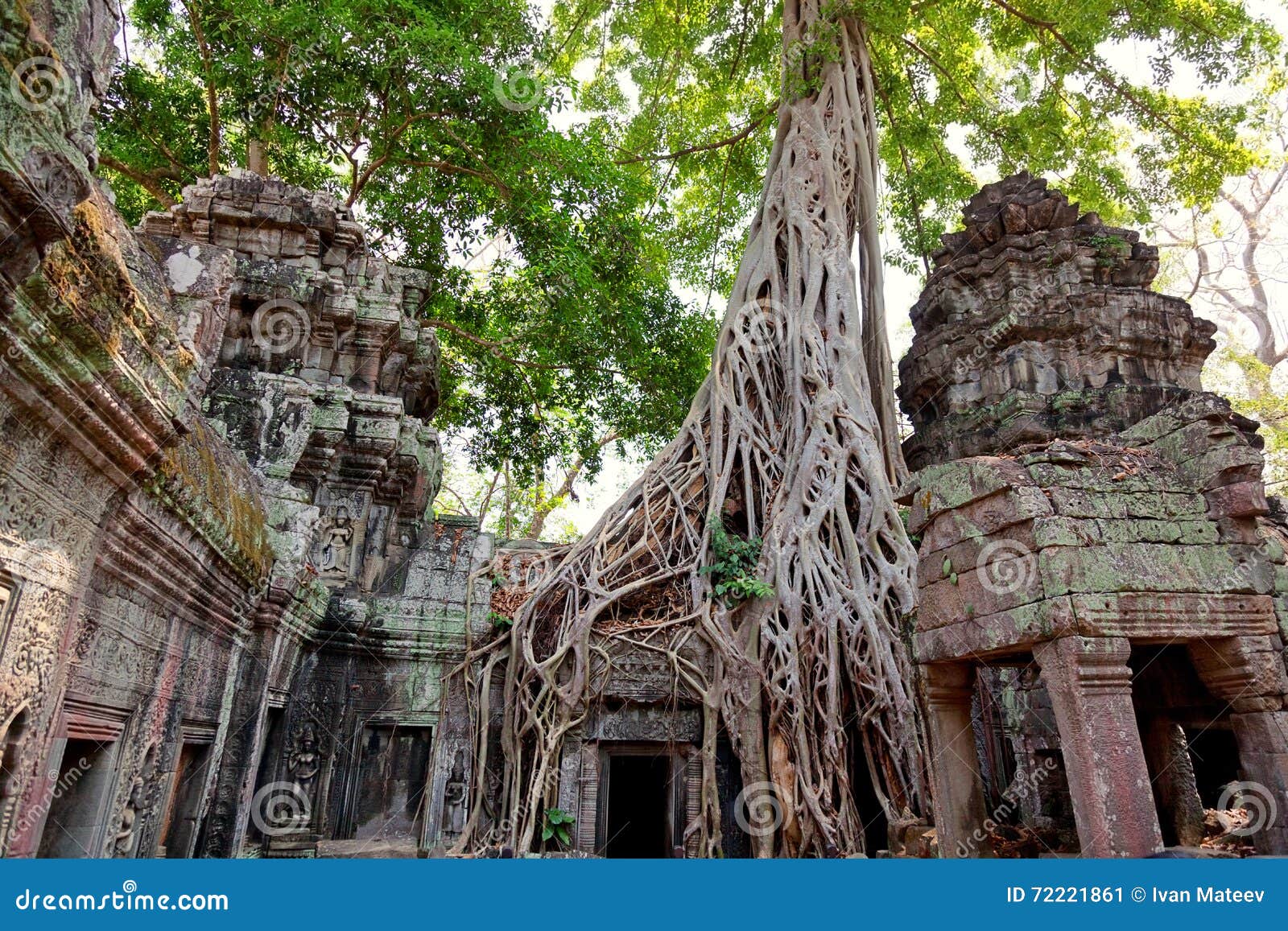Ta Prohm Ruins, Angkor Wat, Cambodia Stock Image - Image of travel ...