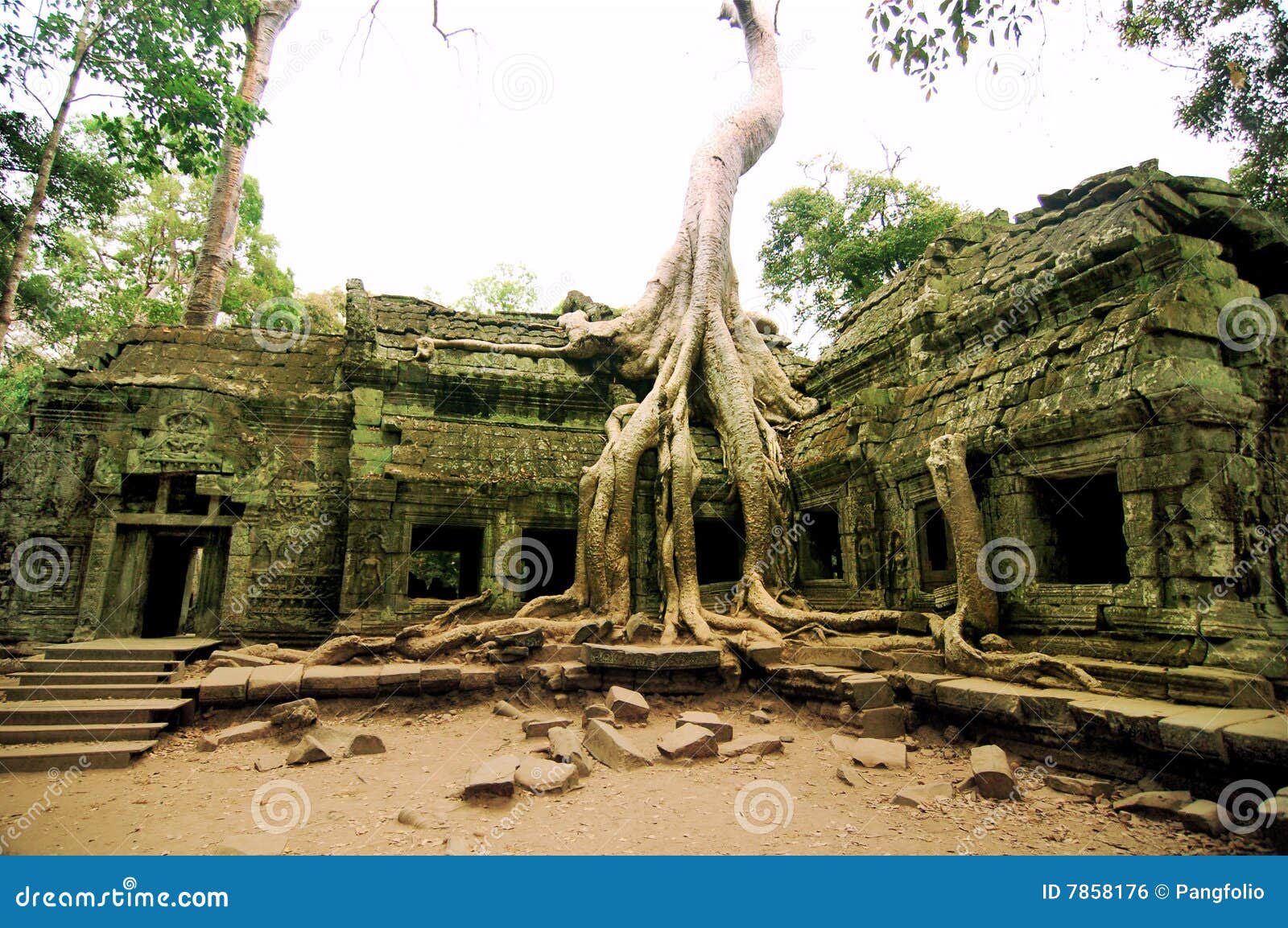 Ta Prohm, Siem Reap stock photo. Image of khmer, culture - 7858176